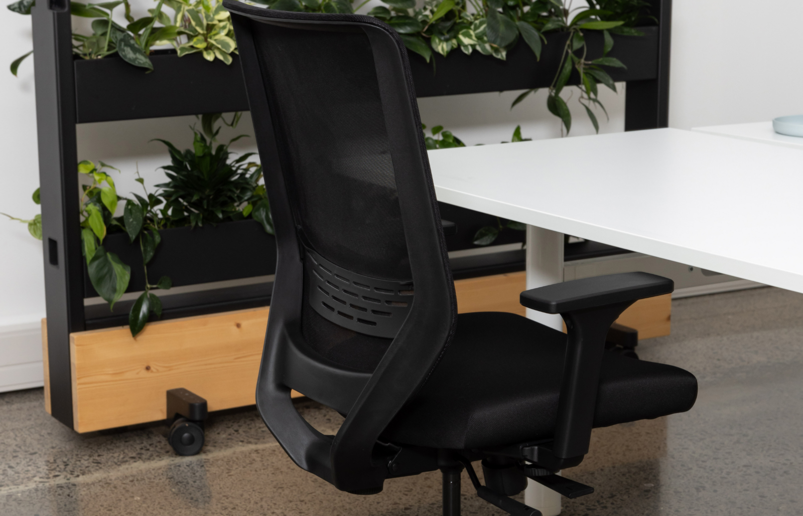 Sync 2 Chair | Kada