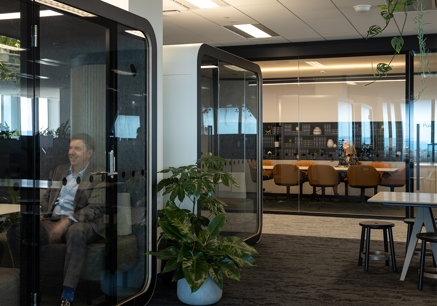 Chapman Tripp | Kada