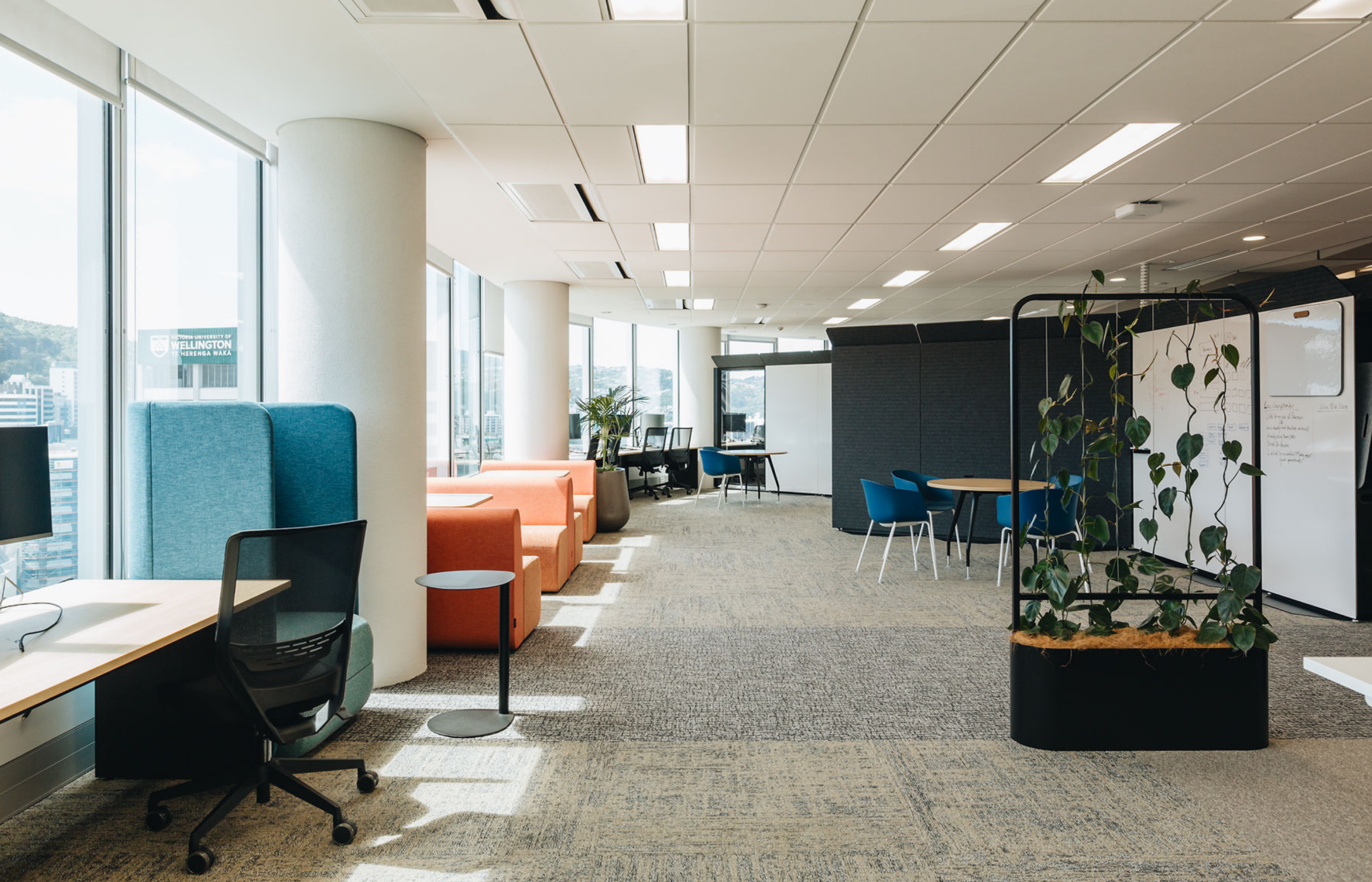 Datacom | Wellington